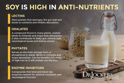 Is Soy a Healthy Food or It is Bad for You? - DrJockers.com