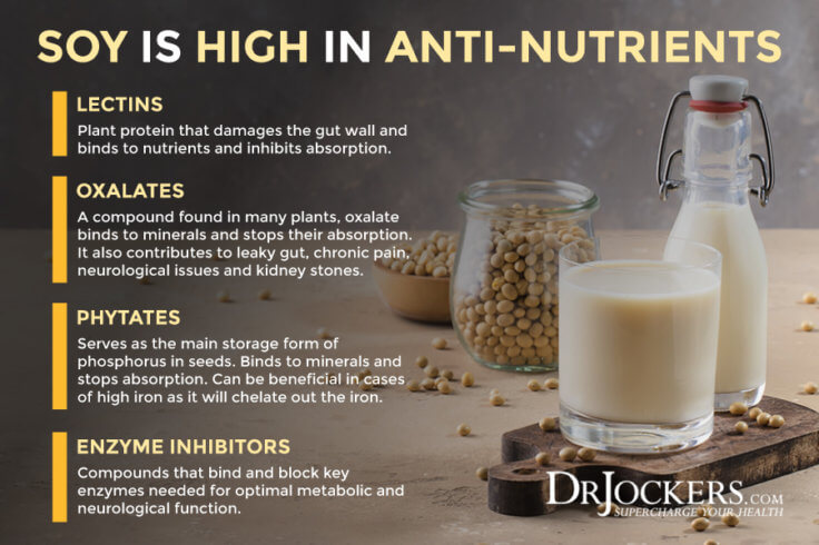 Is Soy a Healthy Food or It is Bad for You? - DrJockers.com