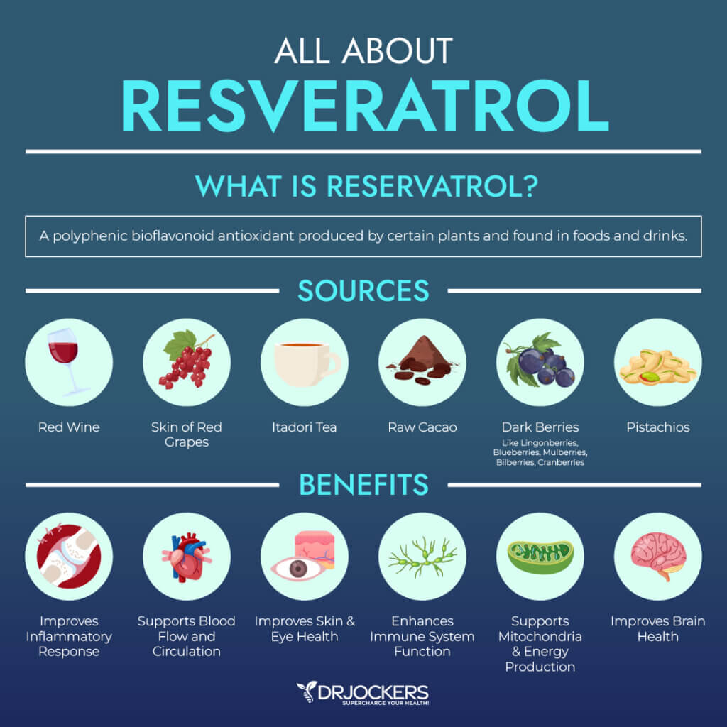 7 Herbs That Enhance Autophagy and Cellular Healing