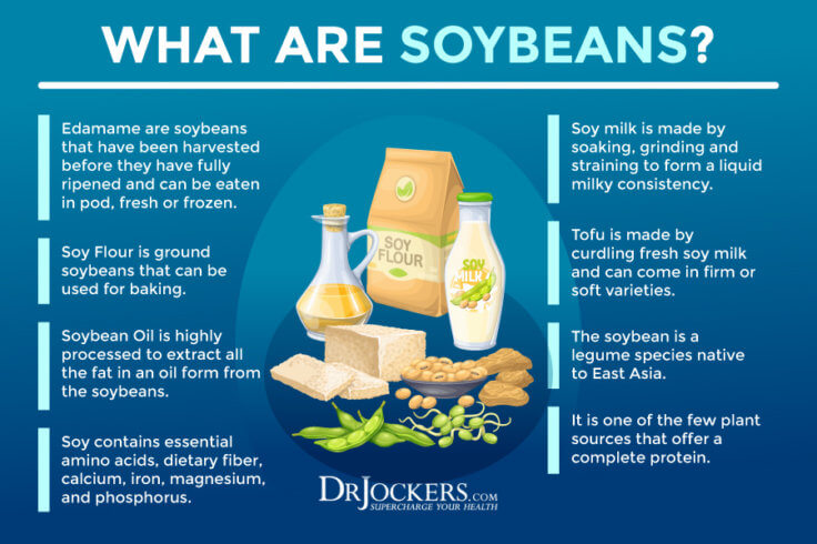 Is Soy a Healthy Food or It is Bad for You? - DrJockers.com