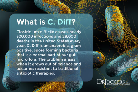 C Diff Infection: Risk Factors, Symptoms and Support Strategies