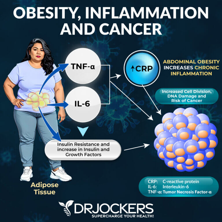 Visceral Fat: What is It and How it Drives Up Inflammation