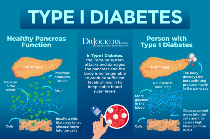 Type I Diabetes: Symptoms, Risk Factors and Support Strategies