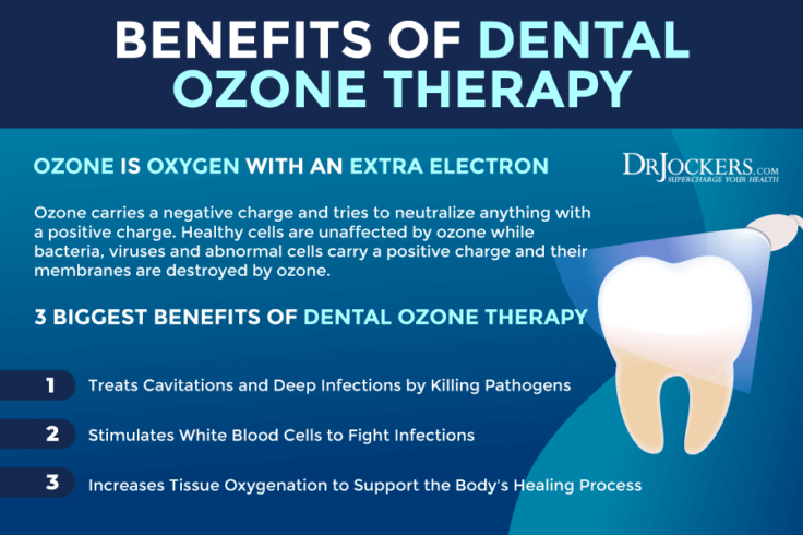 Holistic Dental Care and the Oral Microbiome - DrJockers.com