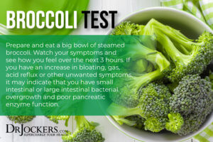 Functional Digestive Health Testing to BioHack Your Gut! - DrJockers.com