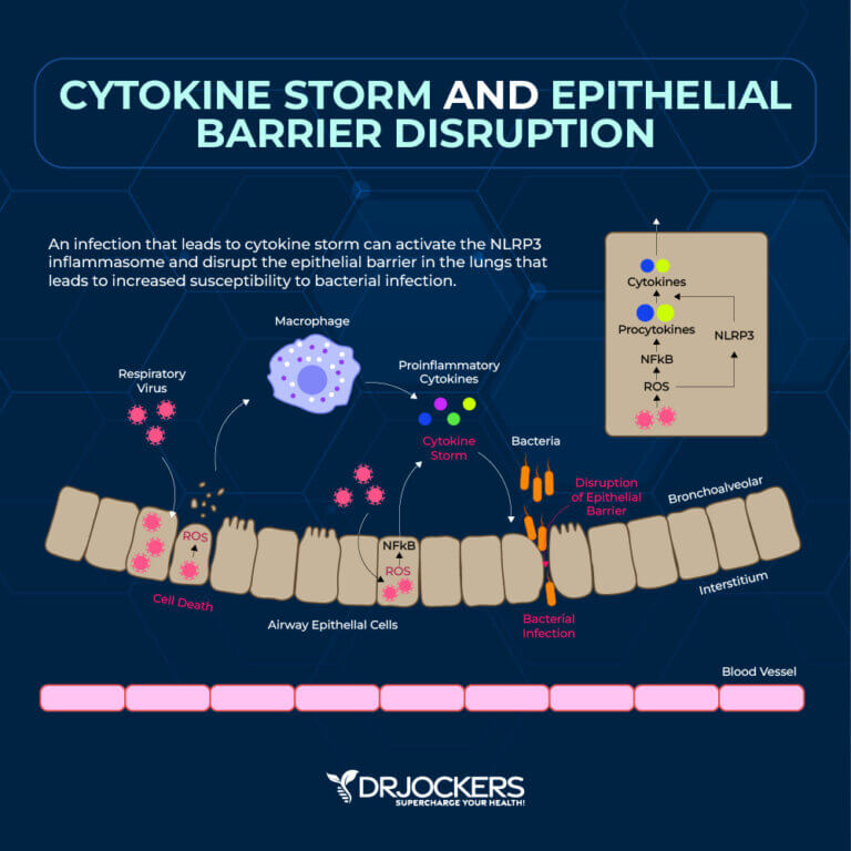 Post Viral Syndrome: Symptoms and Healing Protocol