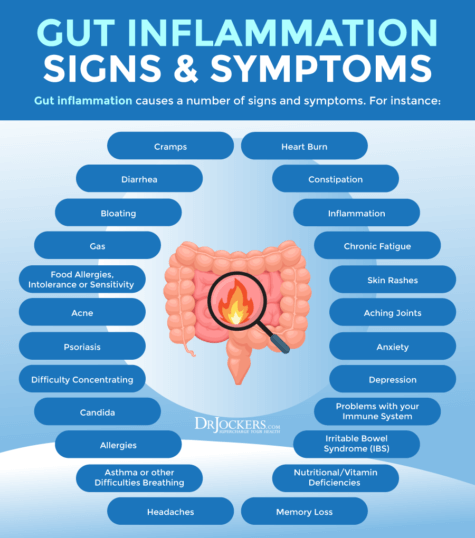 Gut Inflammation: Causes, Testing & Support Strategies