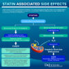 Statin Drug Side Effects: Symptoms and Support Strategies