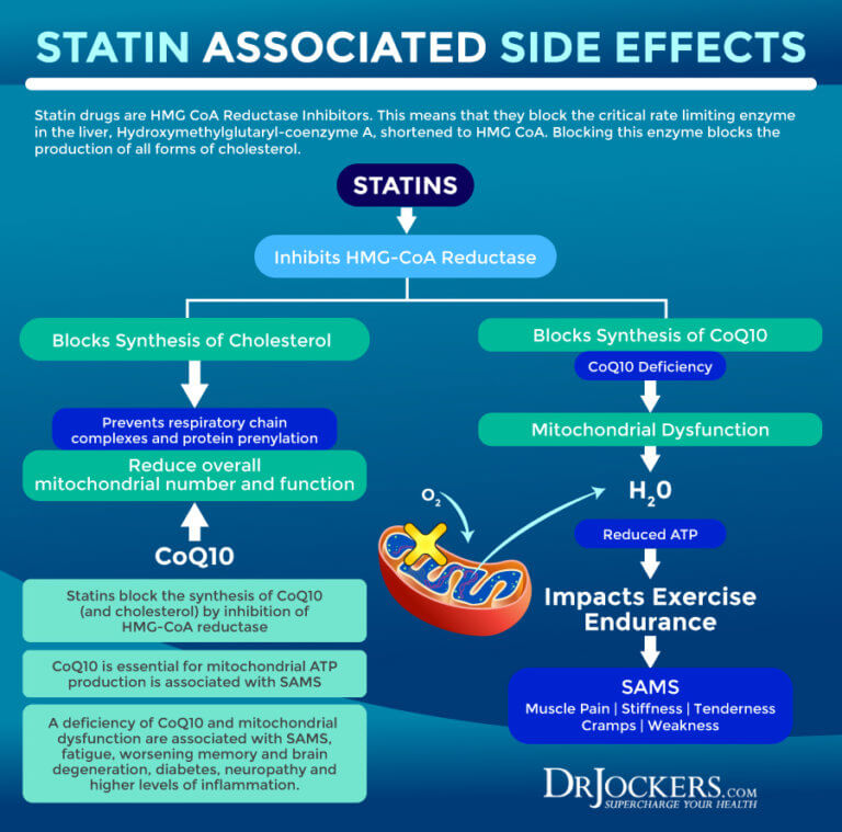 Statin Drug Side Effects: Symptoms and Support Strategies