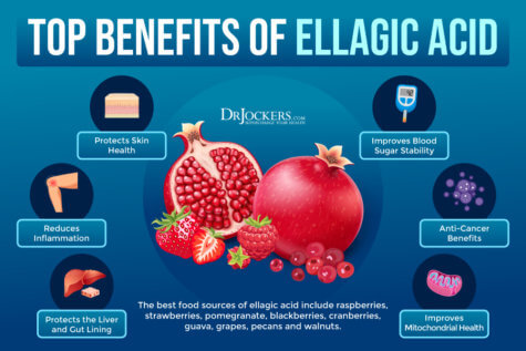 Gut Inflammation: Causes, Testing & Support Strategies - DrJockers.com