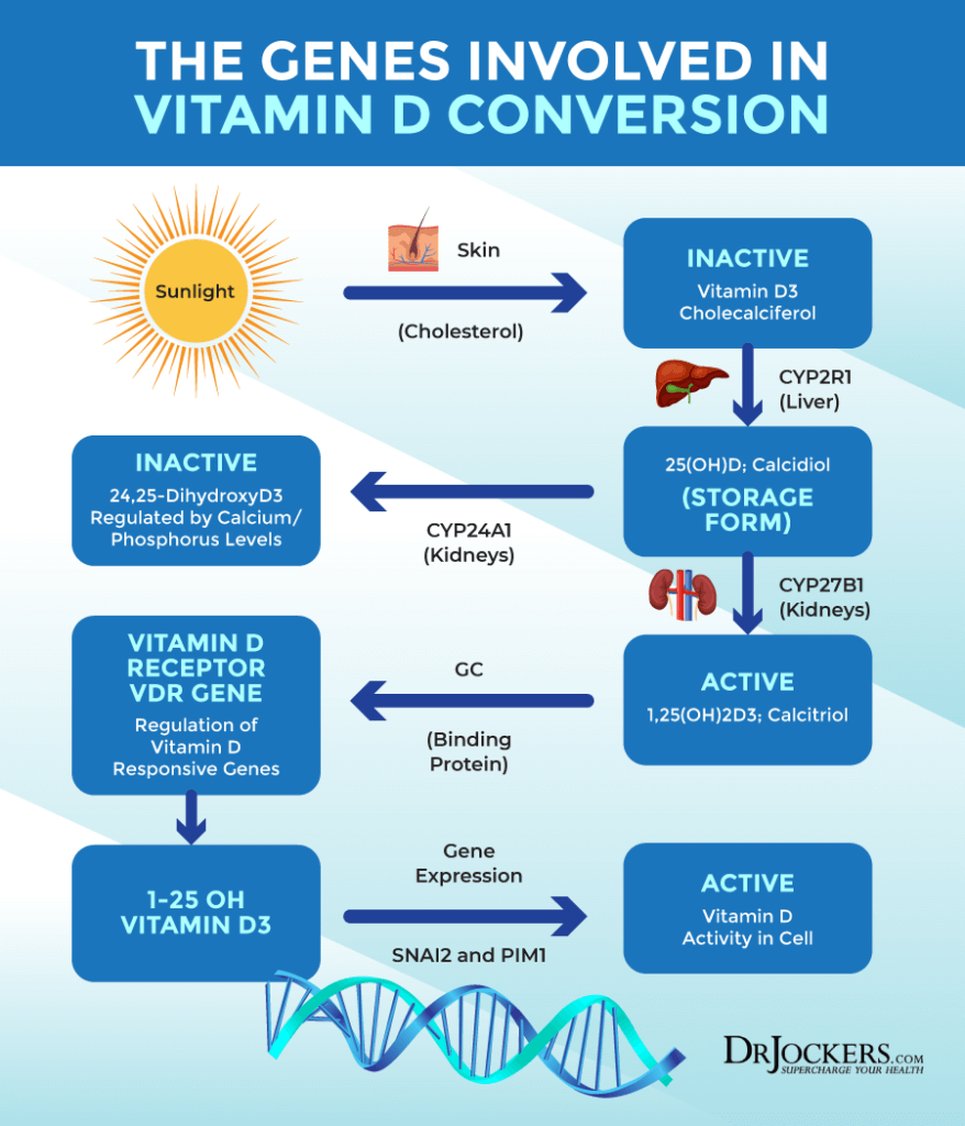 Vitamin D Resistance and Autoimmunity - DrJockers.com