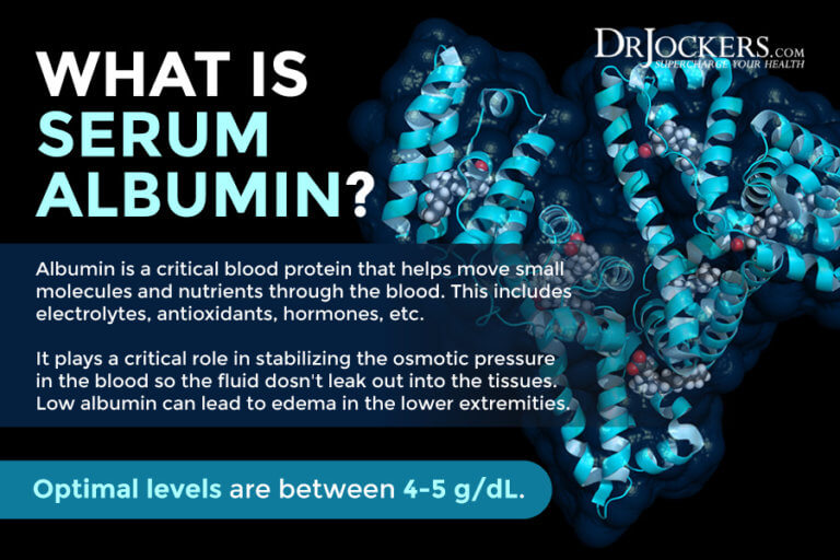 Testing Liver Function: Key Lab Markers and Functional Analysis