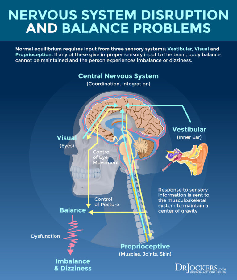 Dizziness: Causes, Symptoms & Support Strategies