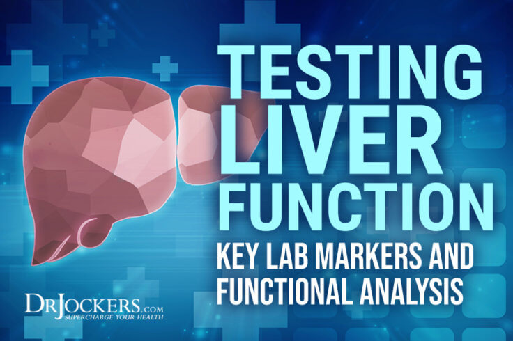 Testing Liver Function: Key Lab Markers and Functional Analysis