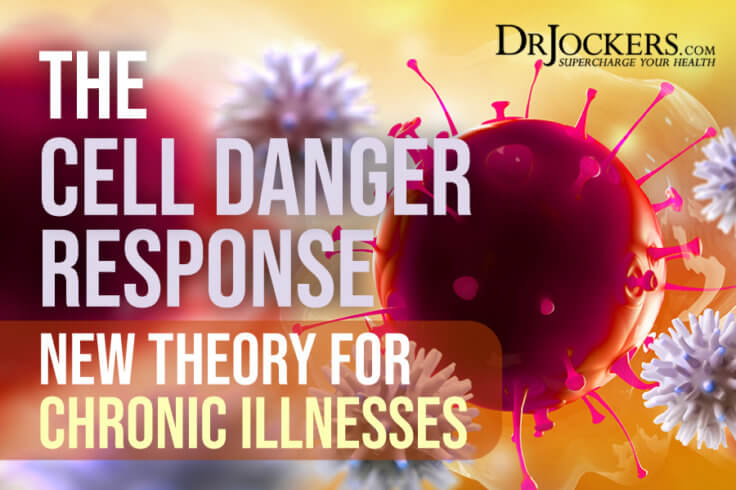 The Cell Danger Response: New Theory For Chronic Illnesses