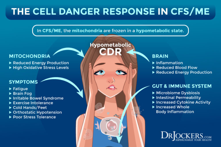 The Cell Danger Response: New Theory For Chronic Illnesses
