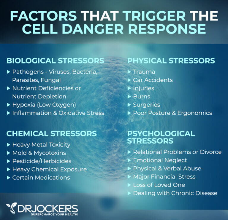 The Cell Danger Response: New Theory For Chronic Illnesses