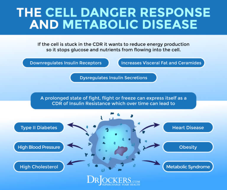 The Cell Danger Response: New Theory For Chronic Illnesses