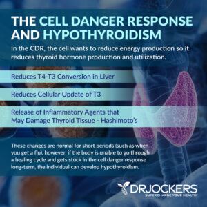 The Cell Danger Response: New Theory For Chronic Illnesses