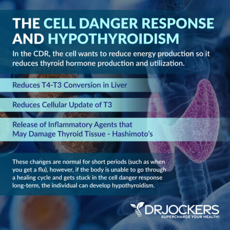 The Cell Danger Response: New Theory For Chronic Illnesses