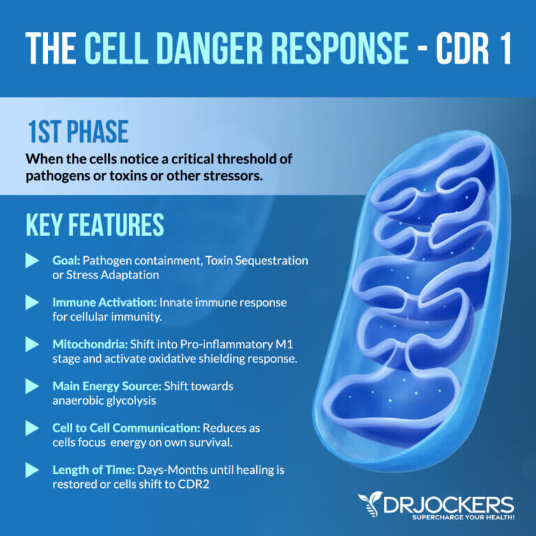 The Cell Danger Response: New Theory For Chronic Illnesses