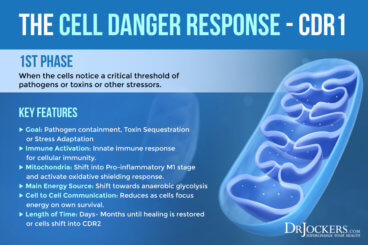 The Cell Danger Response: New Theory For Chronic Illnesses