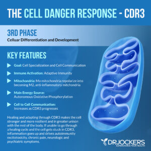 The Cell Danger Response: New Theory For Chronic Illnesses