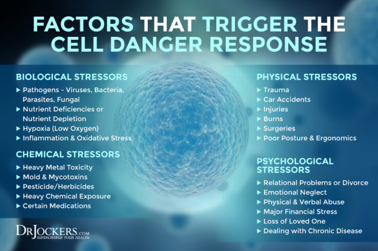 The Cell Danger Response: New Theory For Chronic Illnesses