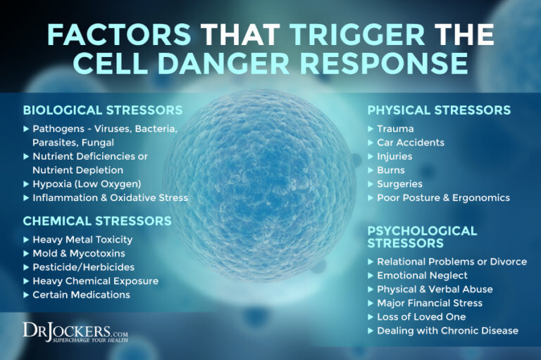 The Cell Danger Response: New Theory For Chronic Illnesses