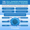 The Cell Danger Response: New Theory For Chronic Illnesses