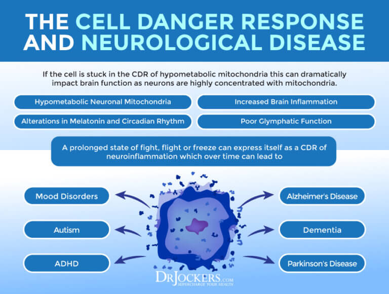 The Cell Danger Response: New Theory For Chronic Illnesses
