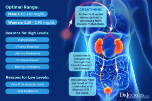 Functional Blood Analysis and Optimal Ranges - DrJockers.com