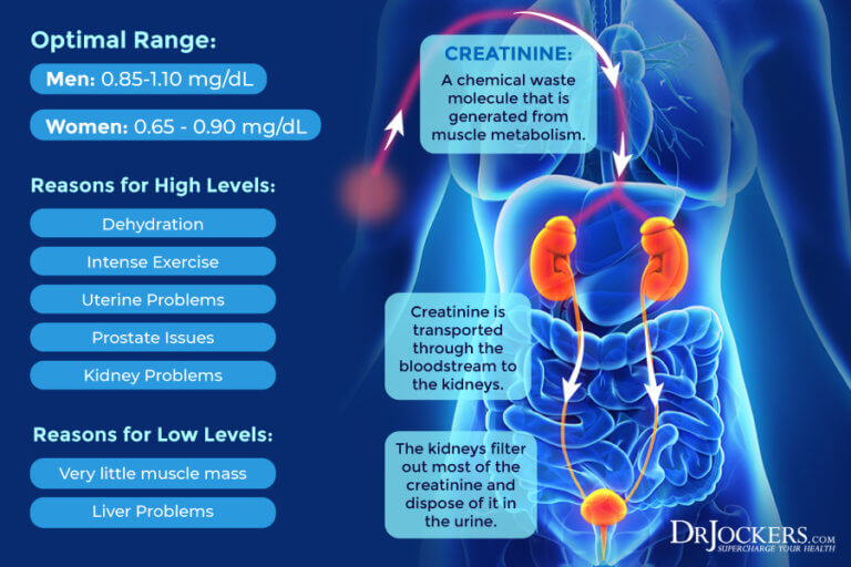 Functional Blood Analysis and Optimal Ranges - DrJockers.com