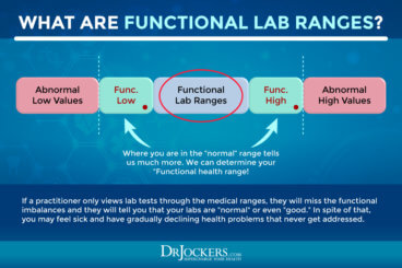 Functional Blood Analysis and Optimal Ranges - DrJockers.com