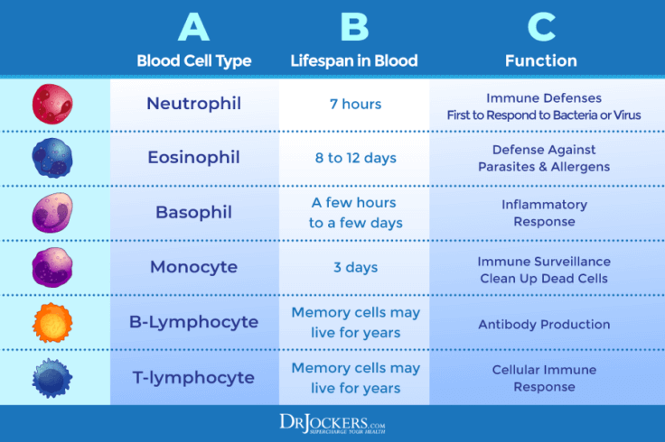 Functional Blood Analysis and Optimal Ranges - DrJockers.com