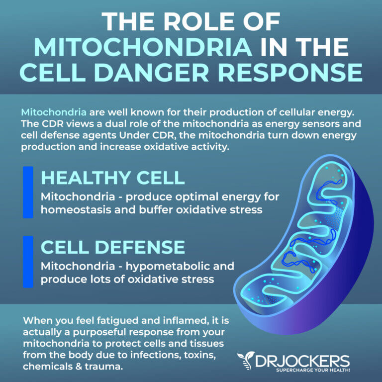 The Cell Danger Response: New Theory For Chronic Illnesses
