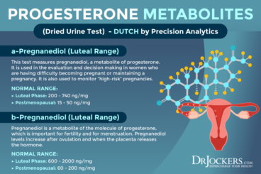 DUTCH Test: Analyzing Hormone Levels for Optimal Health