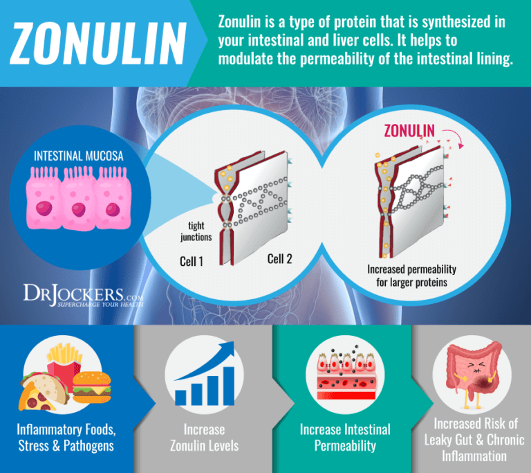 Intestinal Permeability, Histamine, and Leaky Gut Lab Markers