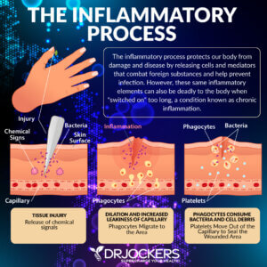 Top 12 Inflammatory Lab Markers and Optimal Ranges