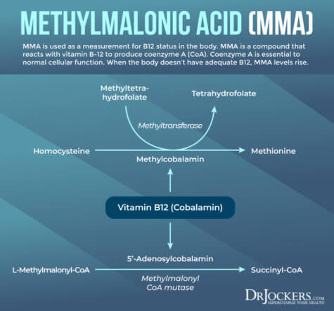DUTCH Test: Analyzing Hormone Levels for Optimal Health