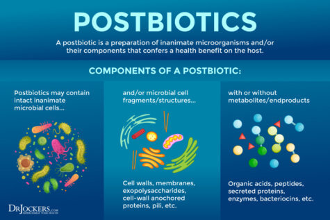 Postbiotics: Best Sources for Gut Health and Inflammation Levels