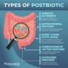 Postbiotics: Best Sources for Gut Health and Inflammation Levels