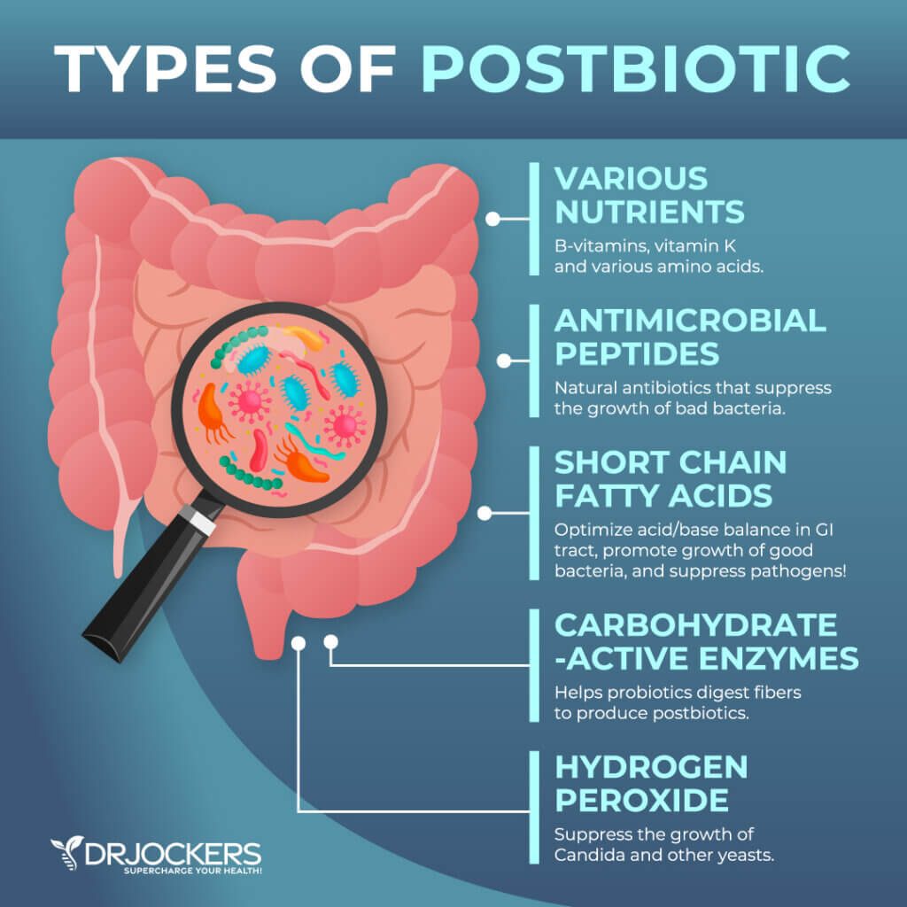 Postbiotics: Best Sources for Gut Health and Inflammation Levels
