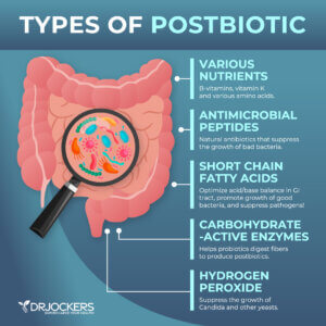 Postbiotics: Best Sources for Gut Health and Inflammation Levels