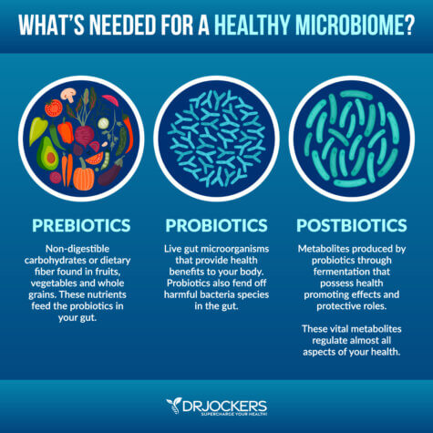 Postbiotics: Best Sources for Gut Health and Inflammation Levels