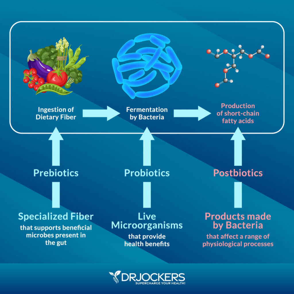 Postbiotics: Best Sources for Gut Health and Inflammation Levels