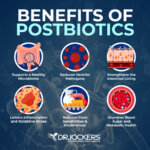 Using Butyric Acid to Heal Leaky Gut and Improve the Microbiome ...