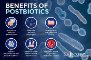 Postbiotics: Best Sources for Gut Health and Inflammation Levels