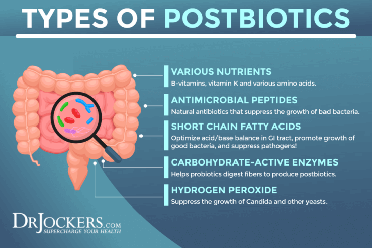 Postbiotics: Best Sources for Gut Health and Inflammation Levels