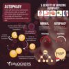 Cardiac Autophagy: Healing Damaged Heart Cells - DrJockers.com